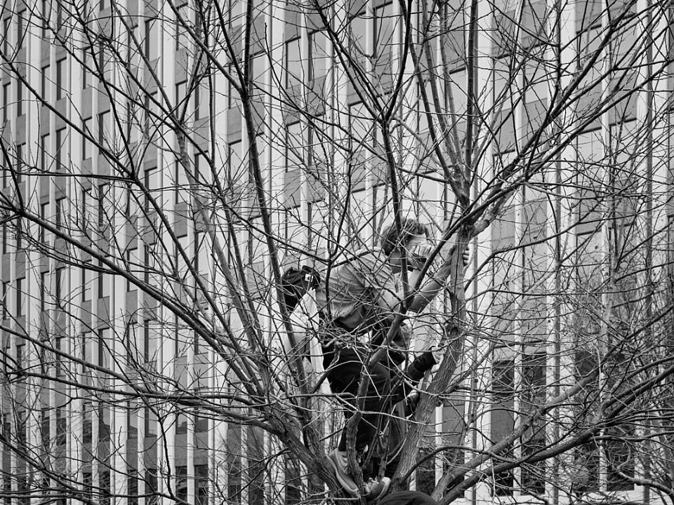 Exhibitions | Holly Johnson Gallery